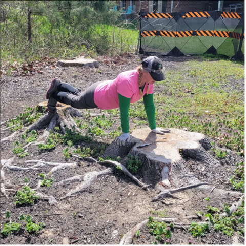 Ready, Set, Stretch! How Bloom Stump Removal Gets Pumped Up for a ...